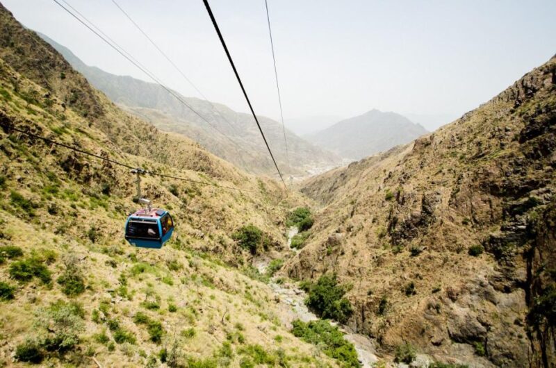 From Jeddah & Makkah: Taif Full Day Tour with Lunch - Is It Worth the Price?