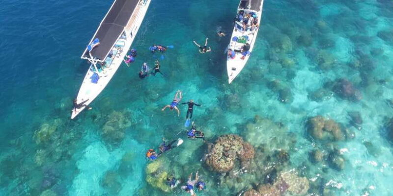From Jepara: Karimunjawa Archipelago 3-Day Snorkeling Tour - Exploring the Karimunjawa Archipelago: What’s in Store?