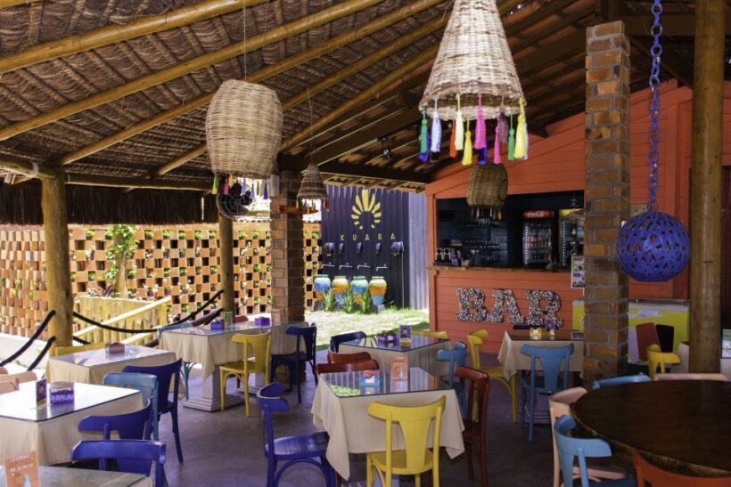 From João Pessoa: Full-Day Southern Coast Beaches Tour - An In-Depth Look at the Tour Experience