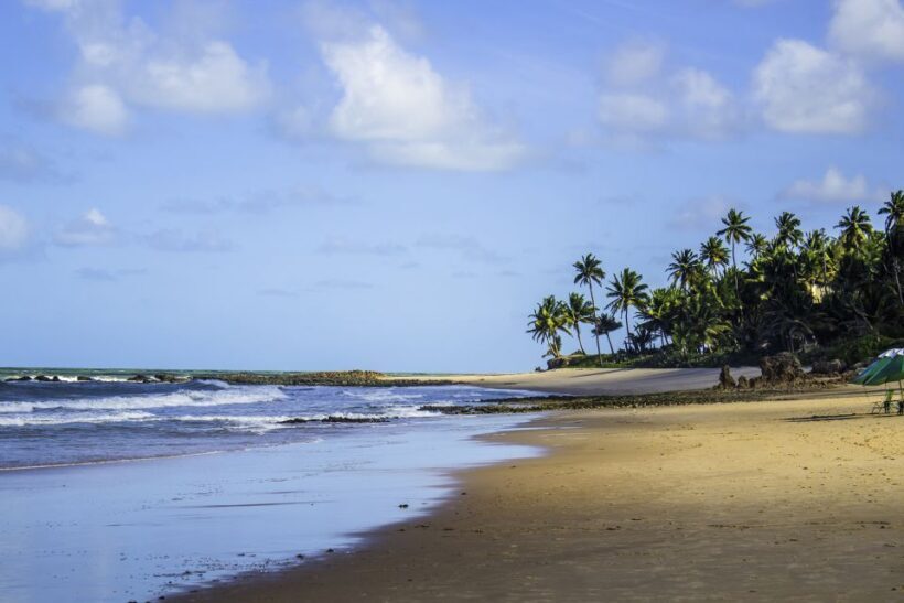 From João Pessoa: Full-Day Southern Coast Beaches Tour - Who Will Love This Tour?