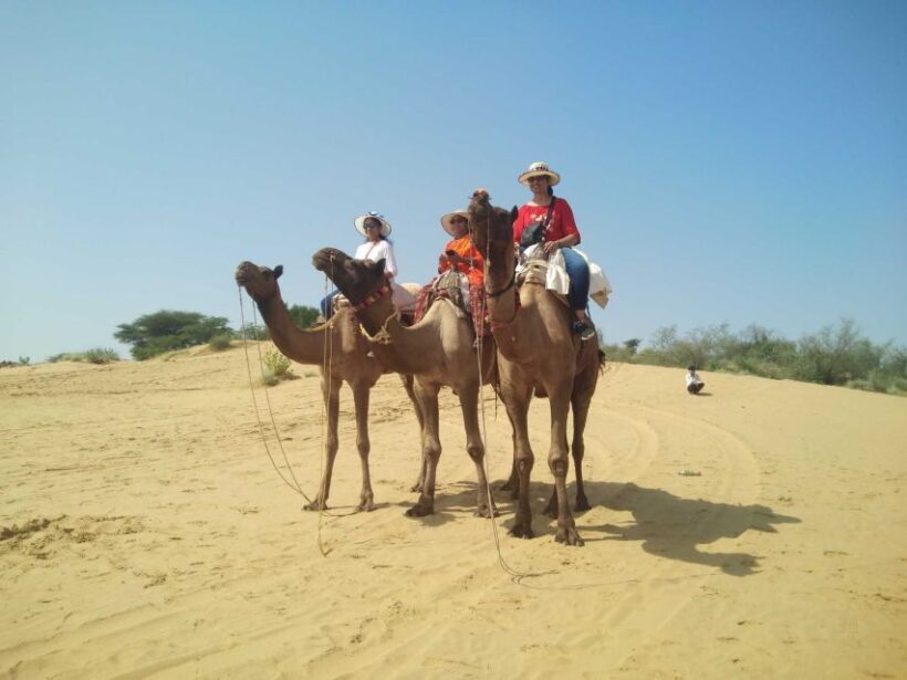 From Jodhpur: Guided Day Trip to Osian with Camel Safari - The Camel Safari: Sands and Sunsets