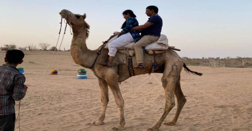 From Jodhpur: Half-Day Tour, Camel Ride, & Dinner in Osian - An Introduction to This Desert Adventure
