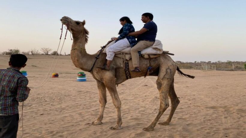 From Jodhpur: Half-Day Tour, Camel Ride, & Dinner in Osian - Value & Practical Considerations