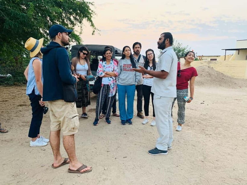 From Jodhpur:Experience the Authentic Bishnoi Village Safari - Key Points