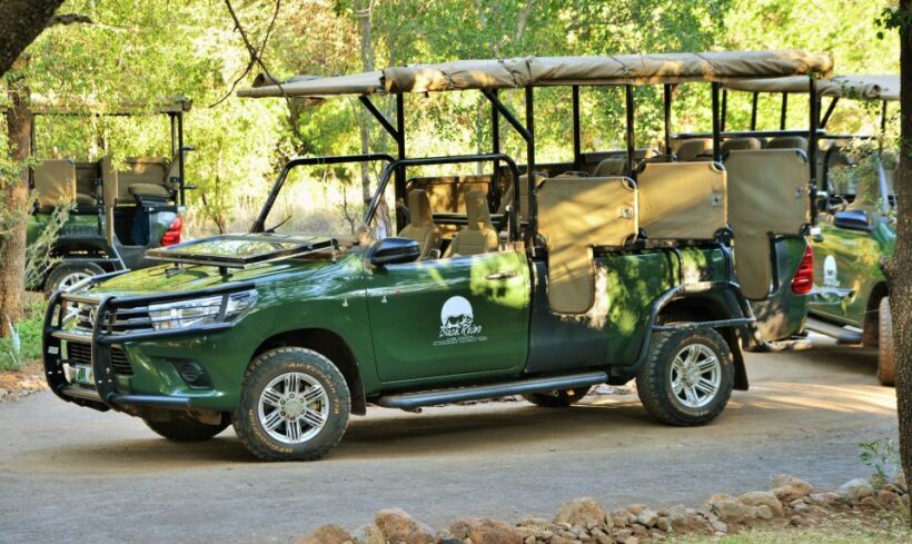 From Johannesburg: Pilanesberg Nature Reserve Game Safari - Who Should Consider This Tour?
