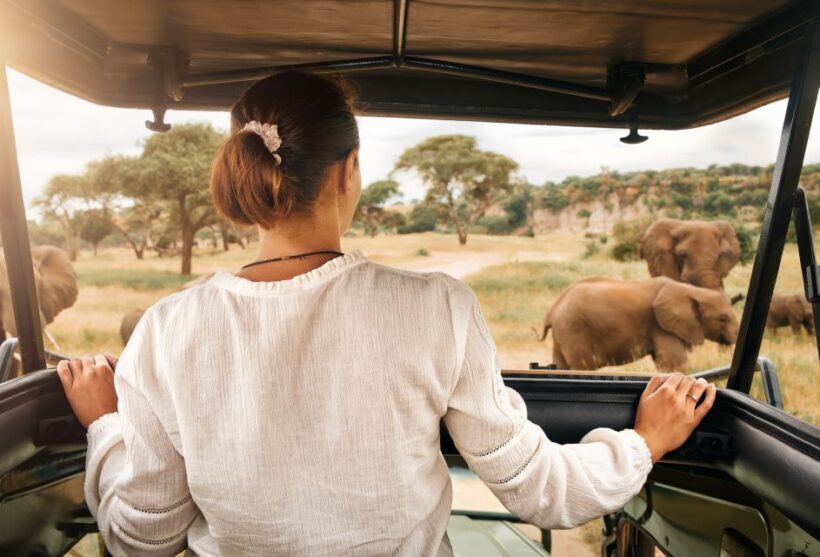 From Johannesburg: Pilanesberg Wildlife Safari - Key Points