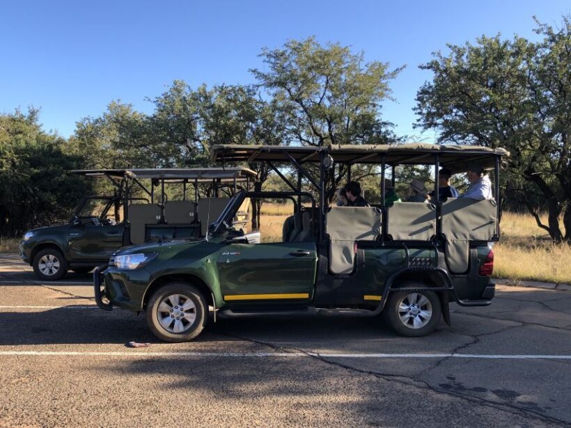From Johannesburg: Pilanesberg Wildlife Safari - Practical Tips for Participants