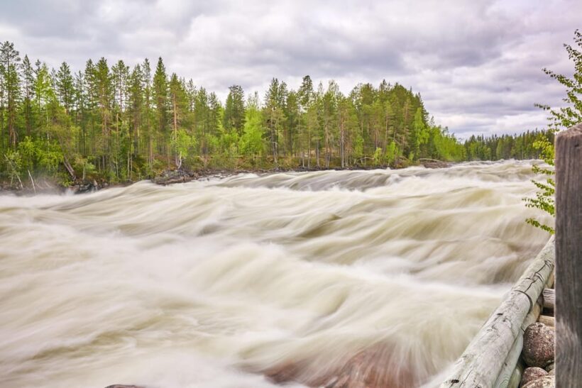 From Jokkmokk: The Great Rapids National Park - Journey into the Heart of Norrbotten’s Wilderness