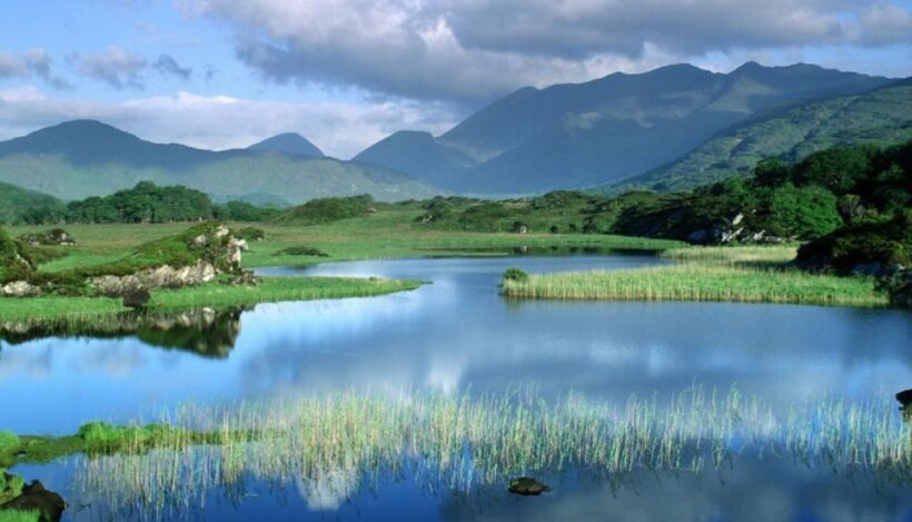 From Jujuy: Yala and Termas de Reyes Half-Day Tour - What Travelers Can Expect: Practical Details