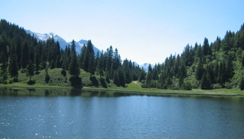 From Jujuy: Yala and Termas de Reyes Half-Day Tour - FAQ