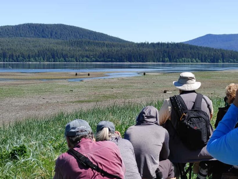 From Juneau: Pack Creek Bear Viewing Adventure - The Value Proposition