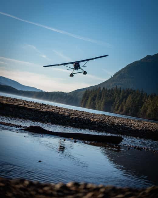 From Juneau: Pack Creek Bear Viewing Adventure - Who Should Consider This Tour?