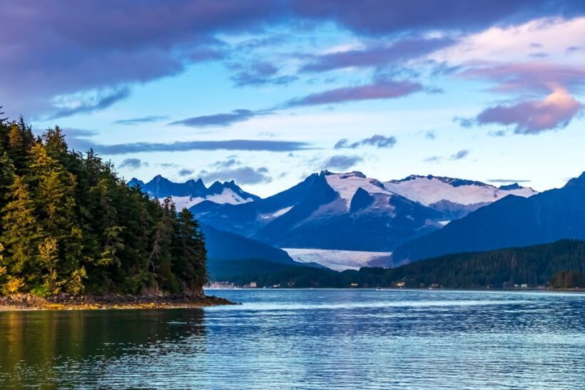 From Juneau: Whale Watching Cruise with Snacks - Key Points
