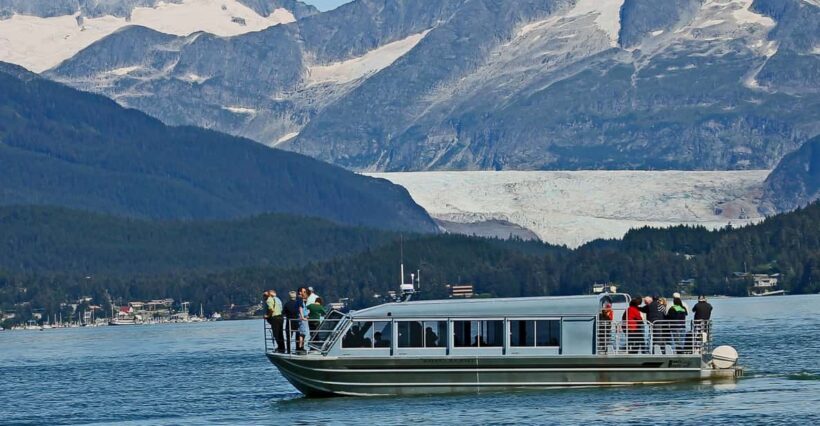 From Juneau: Whale Watching Cruise with Snacks - The Itinerary in Detail