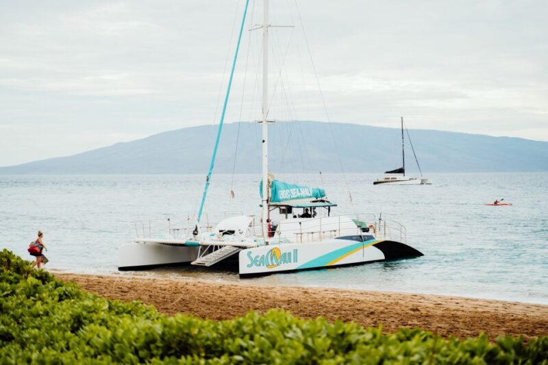 From Kaanapali: Afternoon West Maui Snorkeling w/ Drinks - Who Should Consider This Tour?