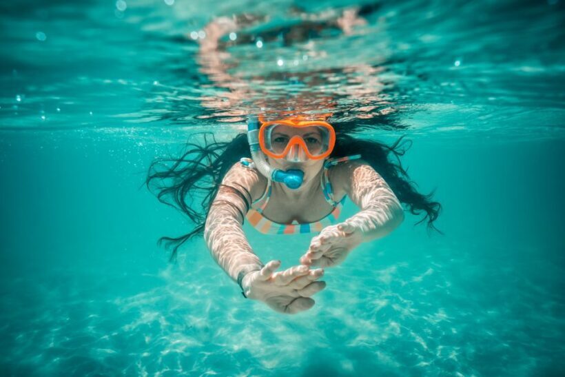 From Ka'anapali: West Maui Half-Day Snorkel Tour w/ Food - An Overview of the Experience