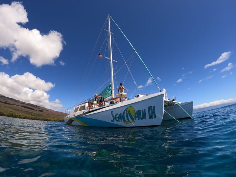 From Ka'anapali: West Maui Half-Day Snorkel Tour w/ Food - What Makes This Tour Stand Out?