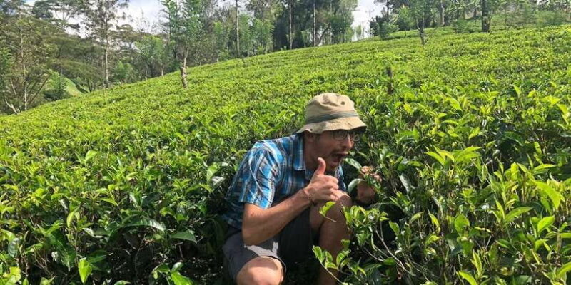 From Kalutara: Handungoda, Galle, and Kosgoda - Key Points