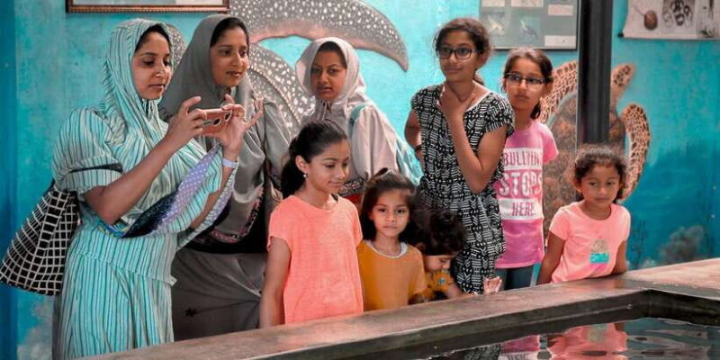 From Kalutara: Handungoda, Galle, and Kosgoda - Authentic Experiences and Feedback from Travelers