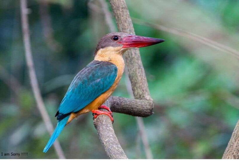 From Kalutara:Exclusive Galle Dutch Fort & Madu River Safari - Practical Considerations and Value