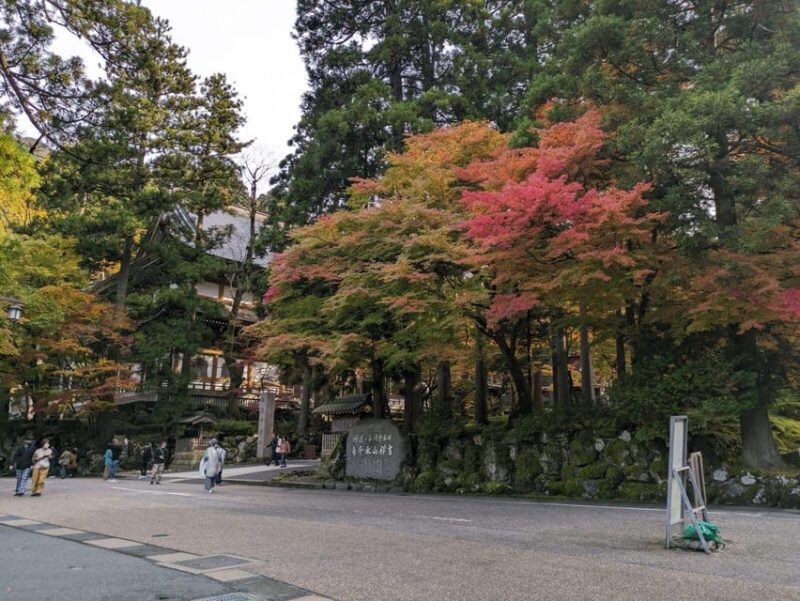 From Kanazawa: Eiheiji Buddhist Temple & Fukui Castle Town - Itinerary Highlights