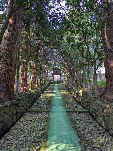 From Kanazawa: Fukuis Stunning Cliffs, Island, and Port - Mikuni Port: Exploring Heritage Sites