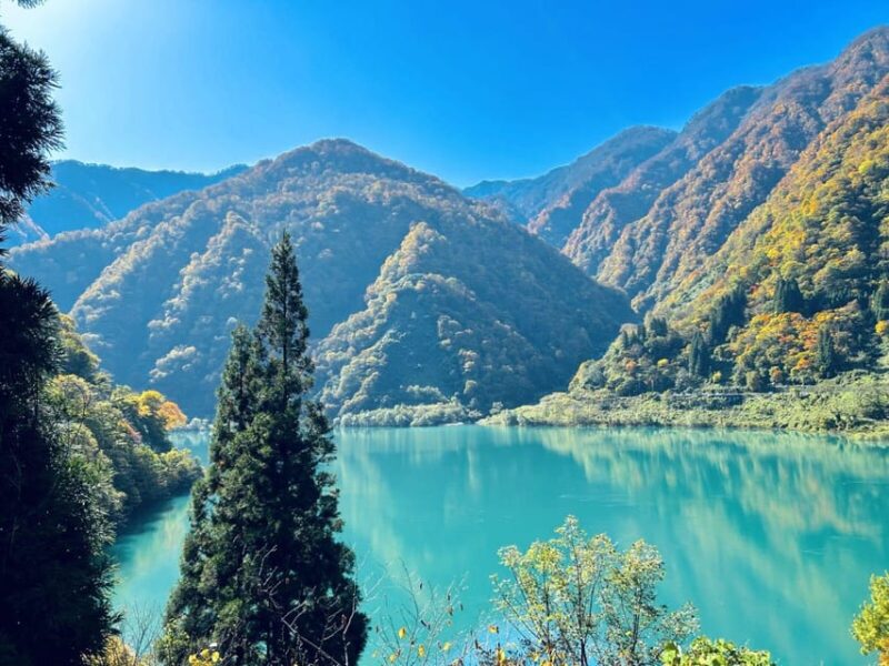 From Kanazawa: Kurobe Gorge & Unazuki Onsen Full-Day Tour - Customer Reviews