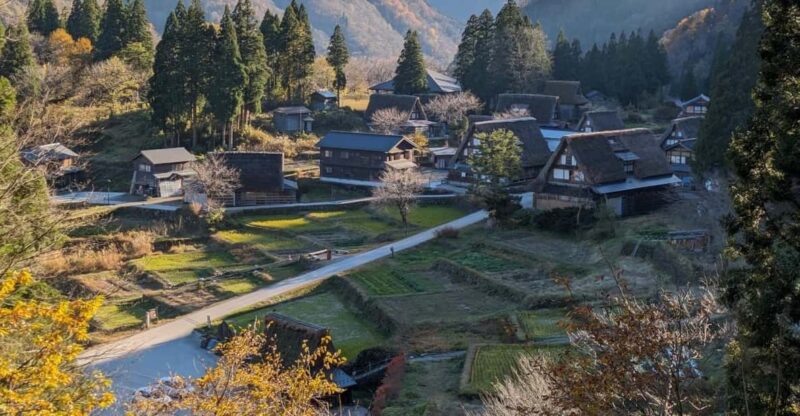 From Kanazawa: Shirakawa-Go, Gokayama and Wood Carving Art - Highlights and Experiences