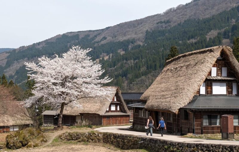 From Kanazawa: Shirakawa-Go, Gokayama and Wood Carving Art - Exploring Inami, the Town of Wood-Carvers