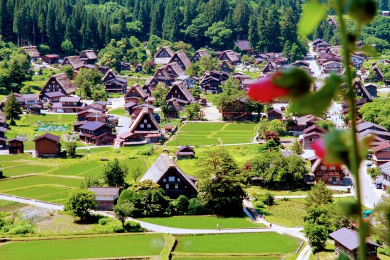 From Kanazawa: Shirakawago, Hida-Furukawa and Takayama Visit - Takayama: Preserved Edo Period Town