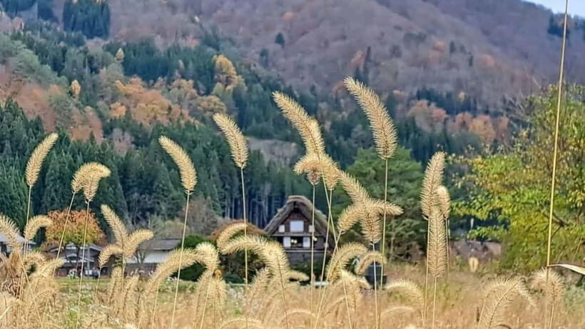 From Kanazawa/Takayama :Day Tour To Shirakawago & Takayama - An In-Depth Look at This Private Day Tour