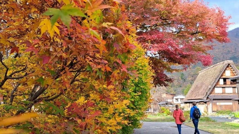 From Kanazawa/Takayama :Day Tour To Shirakawago & Takayama - FAQs