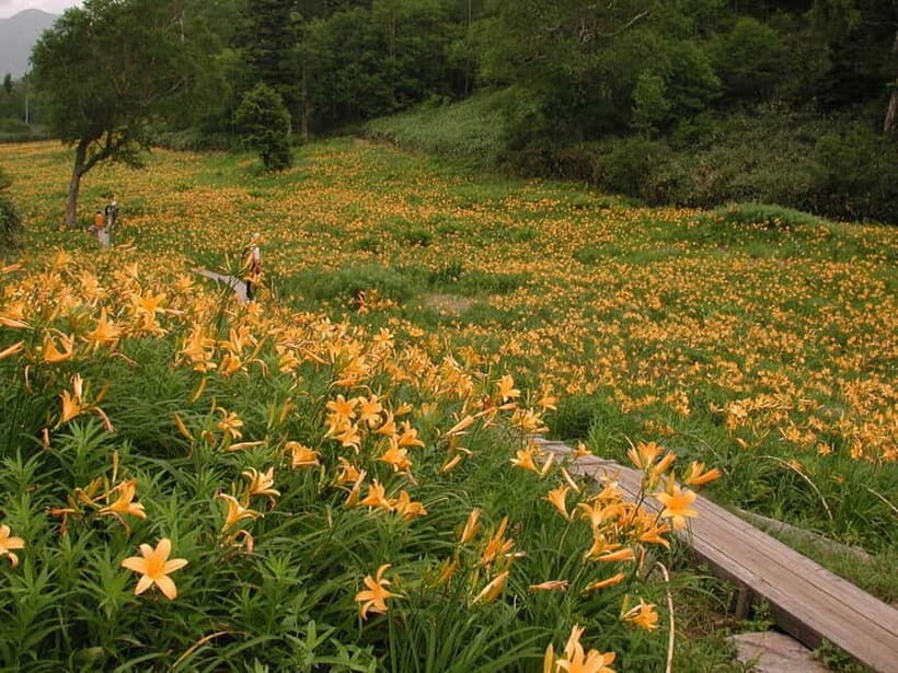 From Kanazawa: Tateyama Mountain Tour with Waterfall & Hike - The Journey Begins: Easy Access from Kanazawa
