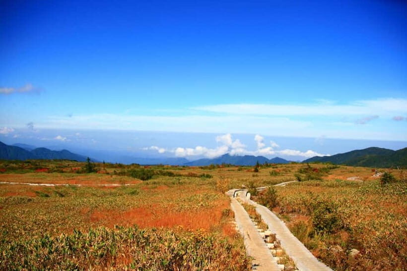 From Kanazawa: Tateyama Mountain Tour with Waterfall & Hike - Practical Details and Value
