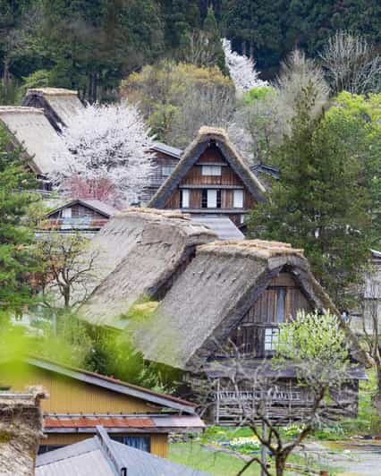 From Kanazawa/Toyama: Shirakawago and Takayama Day Tour - Takayama Old Town: Step Back into the Edo Period