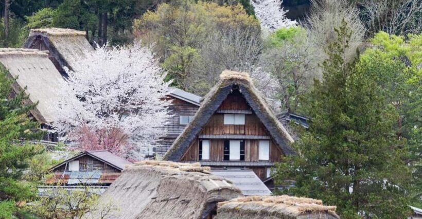 From Kanazawa/Toyama: Shirakawago and Takayama Day Tour - The Benefits of a Private, Flexible Tour