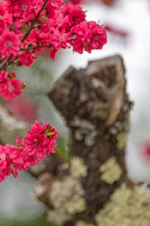 From Kanazawa/Toyama: Shirakawago and Takayama Day Tour - What to Bring and Important Notes