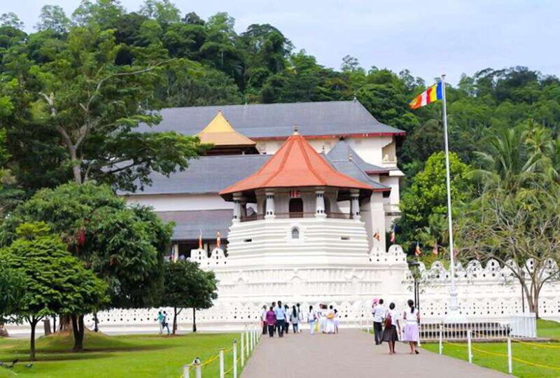 From Kandy: All Inclusive Full-Day Tour in Kandy - Private - Key Points