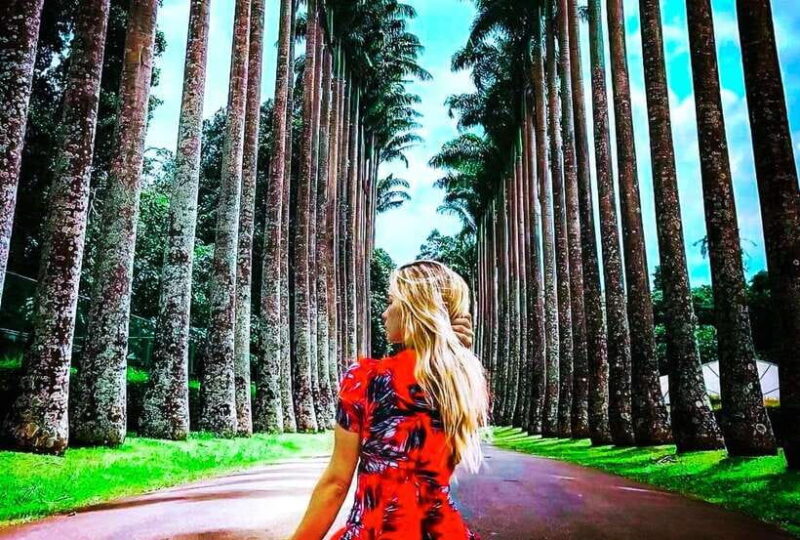 From Kandy: All Inclusive Full-Day Tour in Kandy - Private - Practicalities and Value