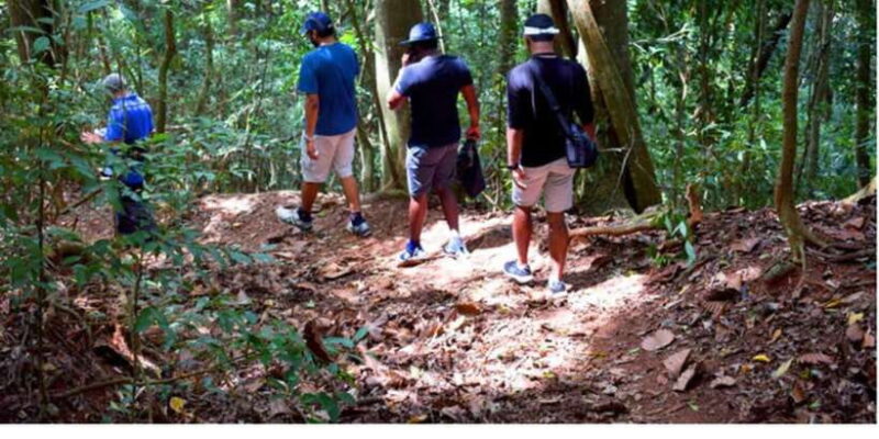 From Kandy: Bird watching tour to Udawatte Kele Sanctuary - Key Points