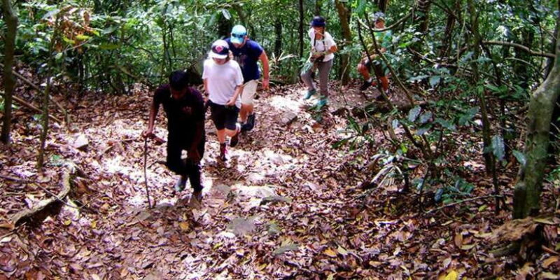 From Kandy: Bird watching tour to Udawatte Kele Sanctuary - Authentic Reviews and Insights