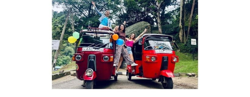 From Kandy: Dambulla to Sigiriya Day Tours - Who Will Love This Tour?