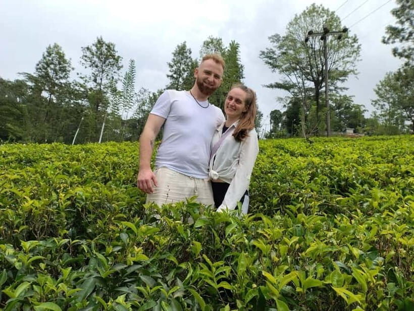 From Kandy: Ella Drop Tour via Nuwara Eliya - What You Need to Know
