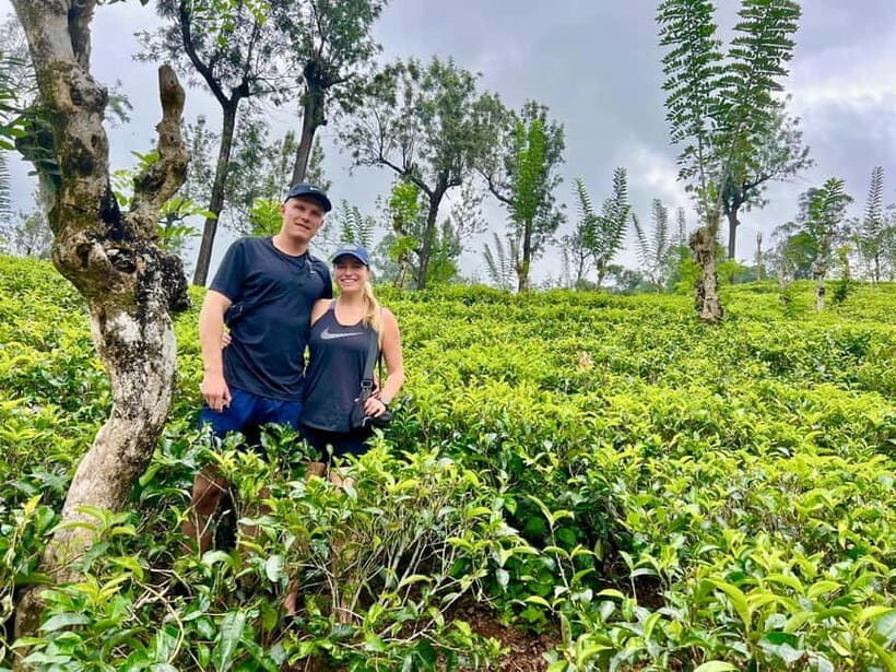 From Kandy: Ella Drop Tour via Nuwara Eliya - FAQs