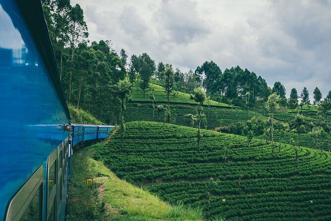 From Kandy: First Class Scenic Train Ticket To Ella - The Practicalities: What You Should Know