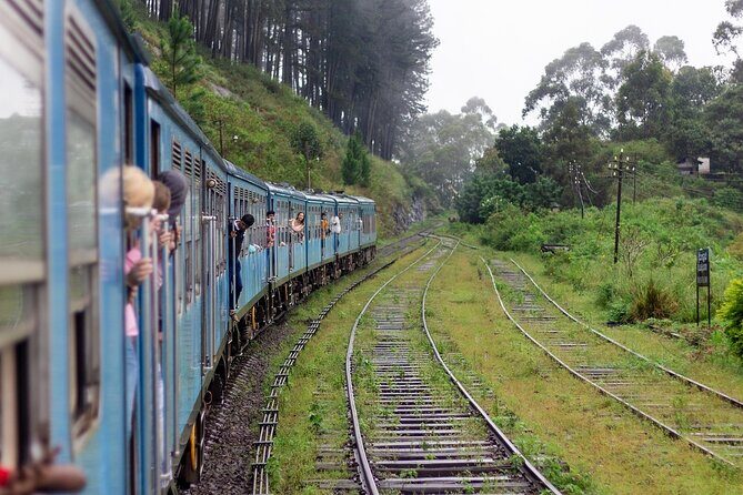 From Kandy: First Class Scenic Train Ticket To Ella - Why This Experience Matters