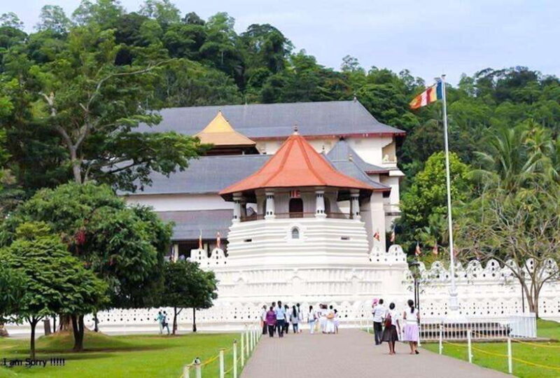 From Kandy: Full Day tour in Kandy with Ambuluwawa Tower - Key Points