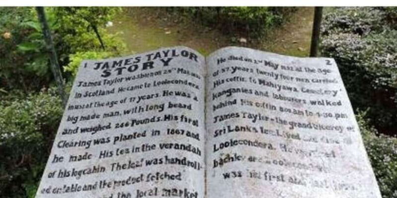 From Kandy: James Taylors Tea Tour (The Tale of Ceylon Tea) - Key Points