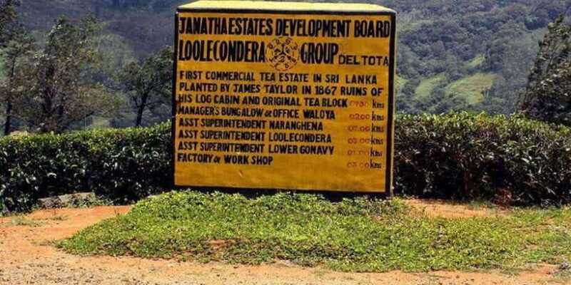 From Kandy: James Taylors Tea Tour (The Tale of Ceylon Tea) - Exploring the Loolkandura Estate: A Walk Through History