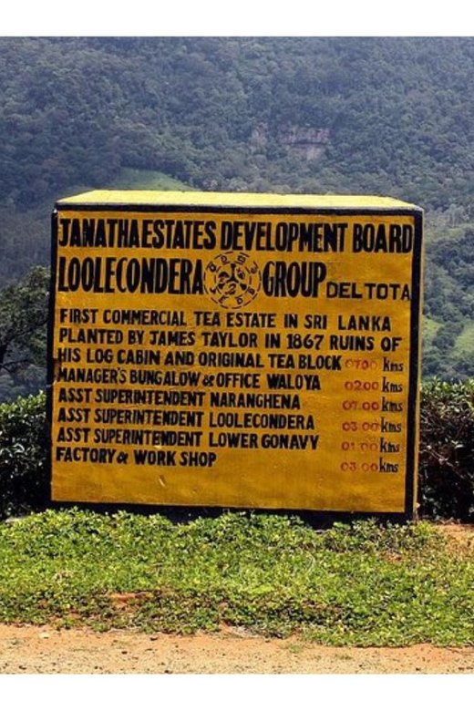 From Kandy: James Taylors Tea Tour (The Tale of Ceylon Tea) - Returning to Kandy: Reflection and Relaxation